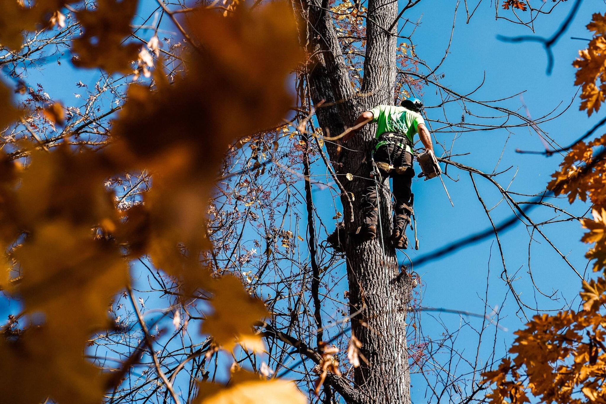 Our Team | The Grove Tree